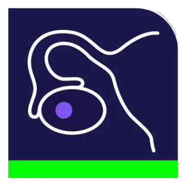 O'RADS Calculator & Report Generator (US & MRI)