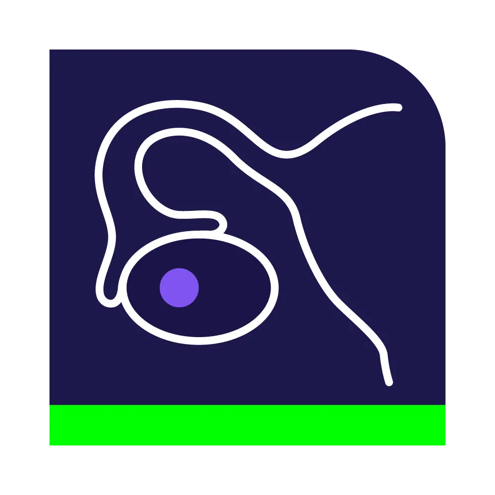 O-RADS Calculator & Report Generator (US & MRI)